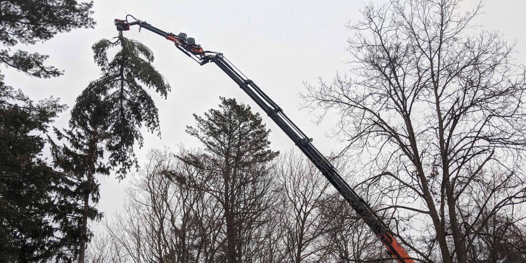 Tree Care Crane Service - Bark Busters Tree Services - Serving Westwood ...